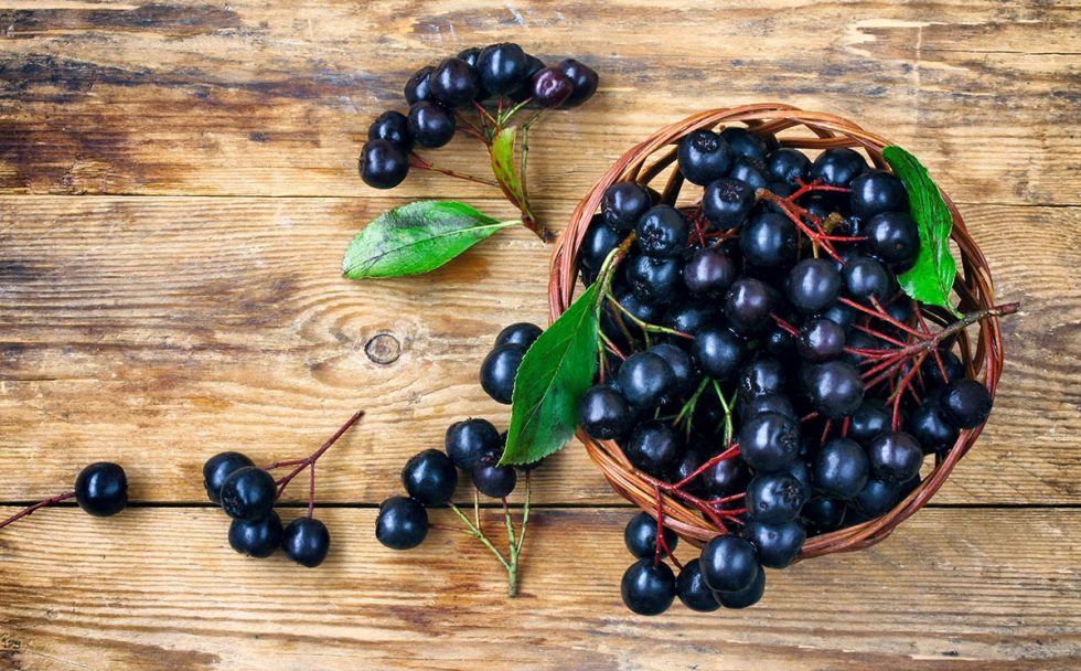 Maqui: Super fruto chileno de relevancia medicinal | Celus C